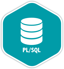 Enamul Haq Chowdhury